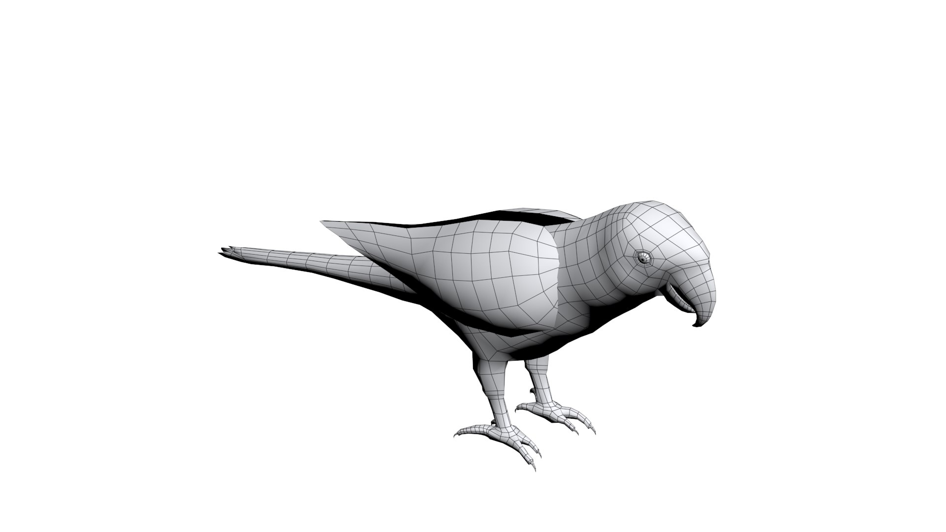 Parrot 3D Model - TurboSquid 1614396