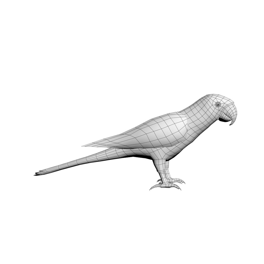 Parrot 3D Model - TurboSquid 1614396