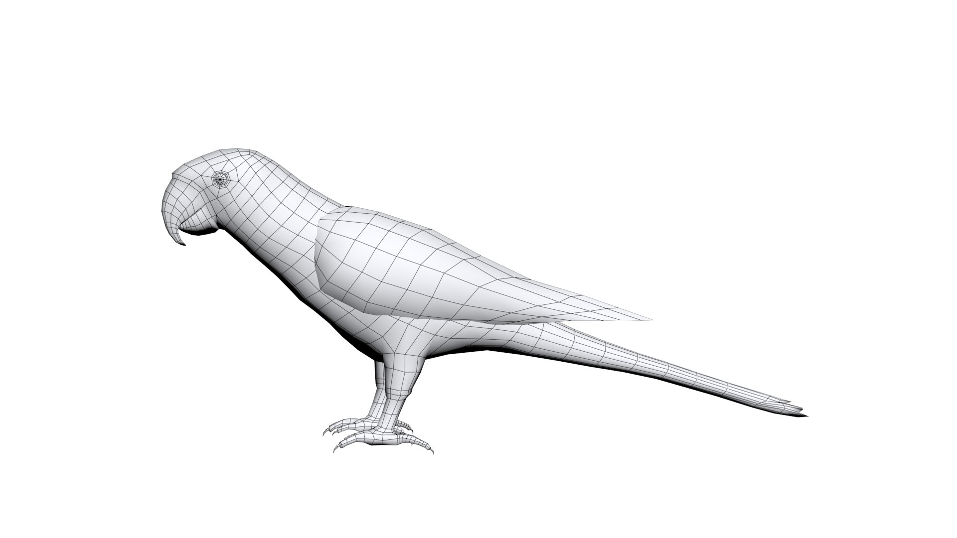 Parrot 3D Model - TurboSquid 1614396