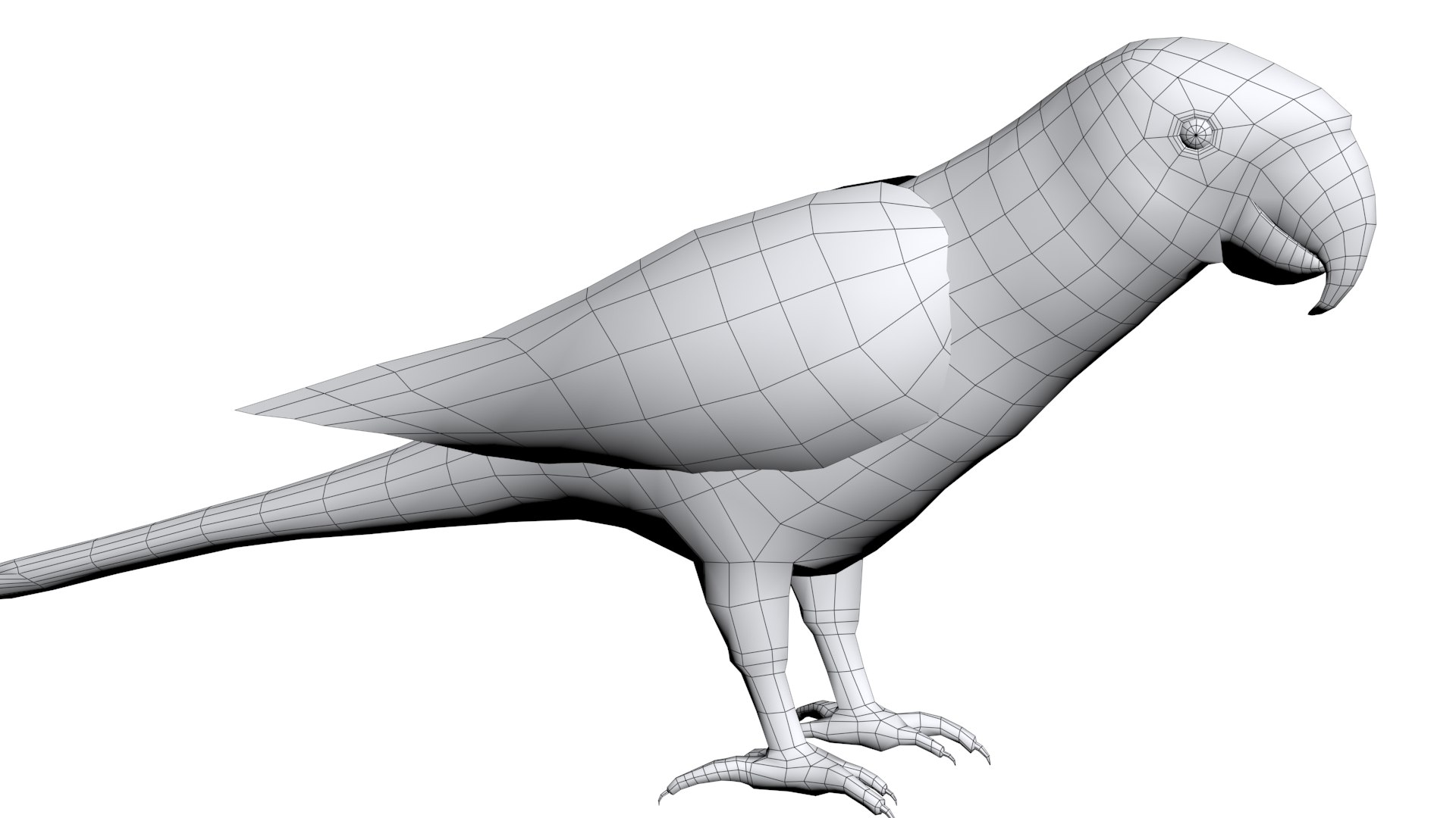 Parrot 3D Model - TurboSquid 1614396