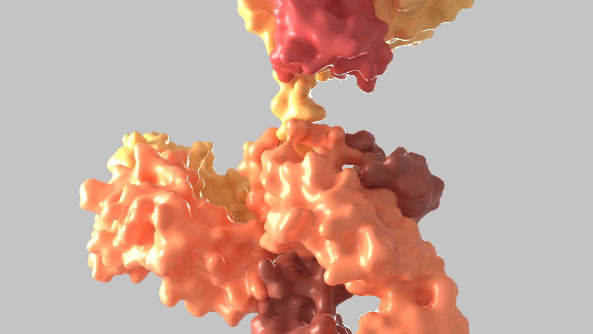 3D Human Antibody Of The IgG - Class Model - TurboSquid 2094870