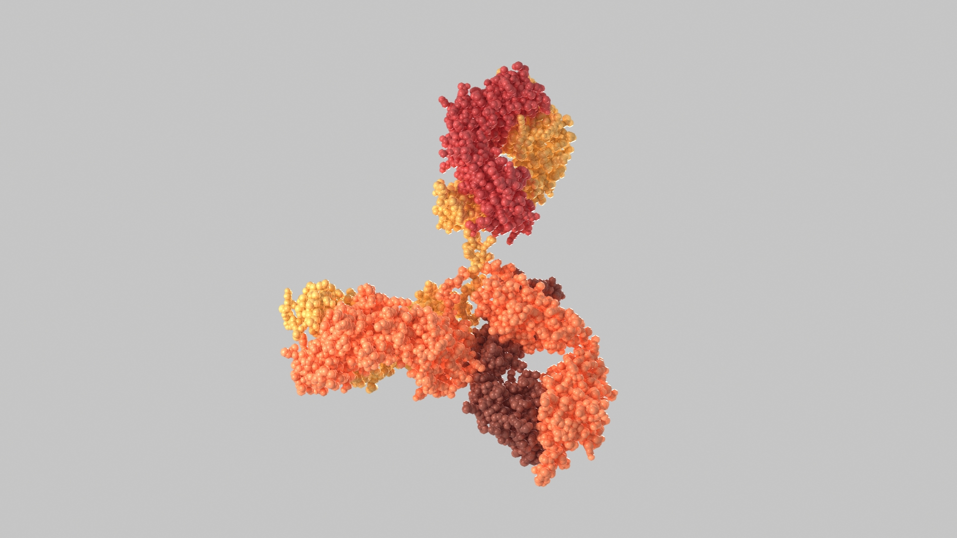 3d Human Antibody Of The Igg Class Model Turbosquid 2094870