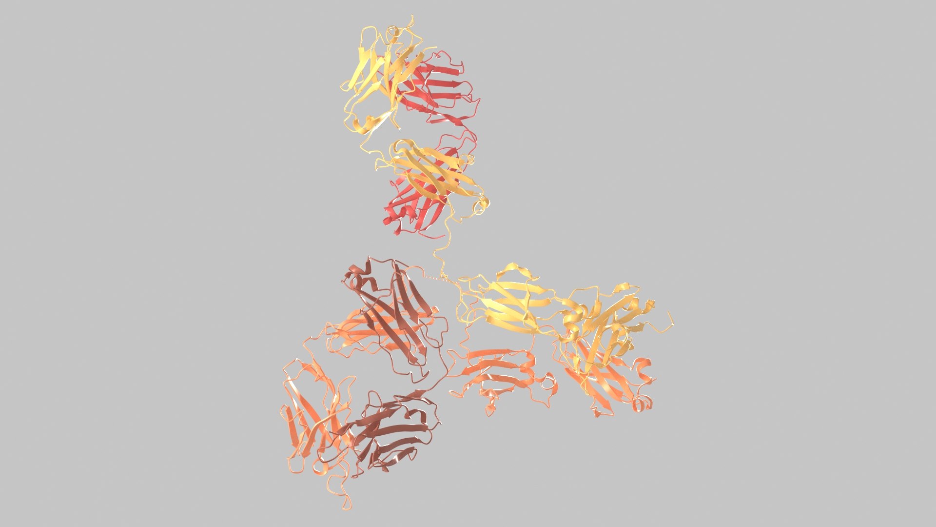 3D Human Antibody Of The IgG - Class Model - TurboSquid 2094870