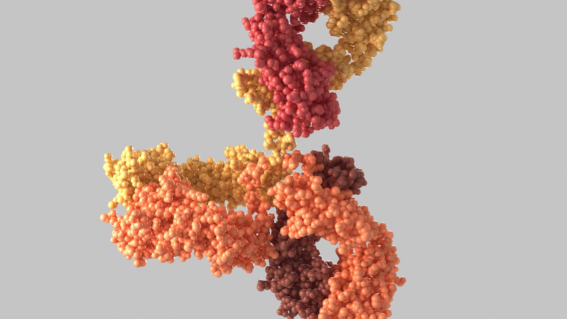 3D Human Antibody Of The IgG - Class Model - TurboSquid 2094870