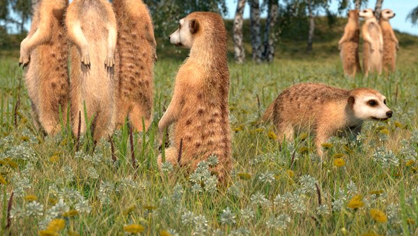 modelo 3d Rigged African Animals Collection 11 - TurboSquid 1957888