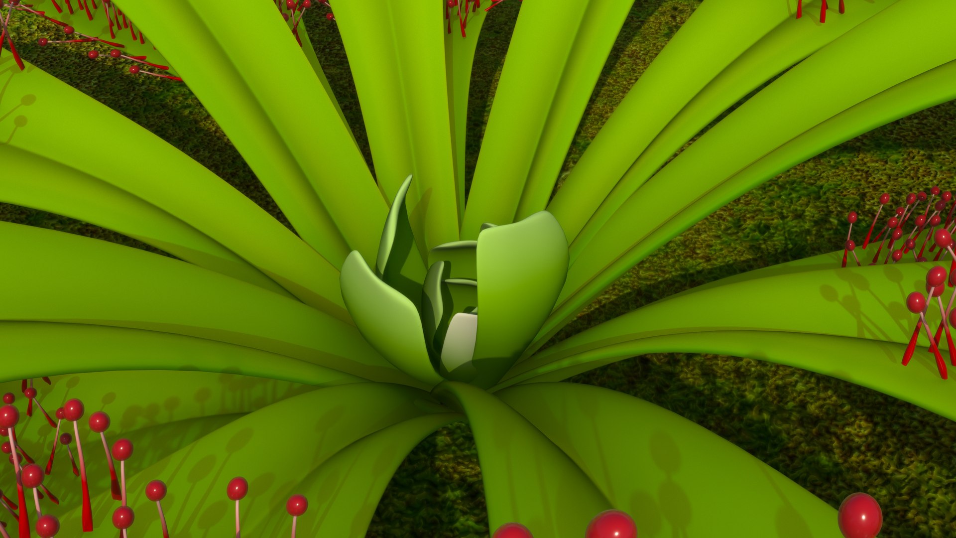 Sundews Drosera 3D - TurboSquid 2210436