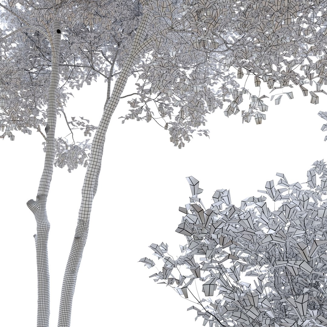3D Model Oak Tree 3 - TurboSquid 1947824