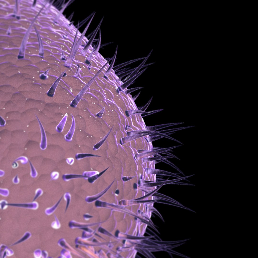 3D model microbes bacteria cells - TurboSquid 1626153