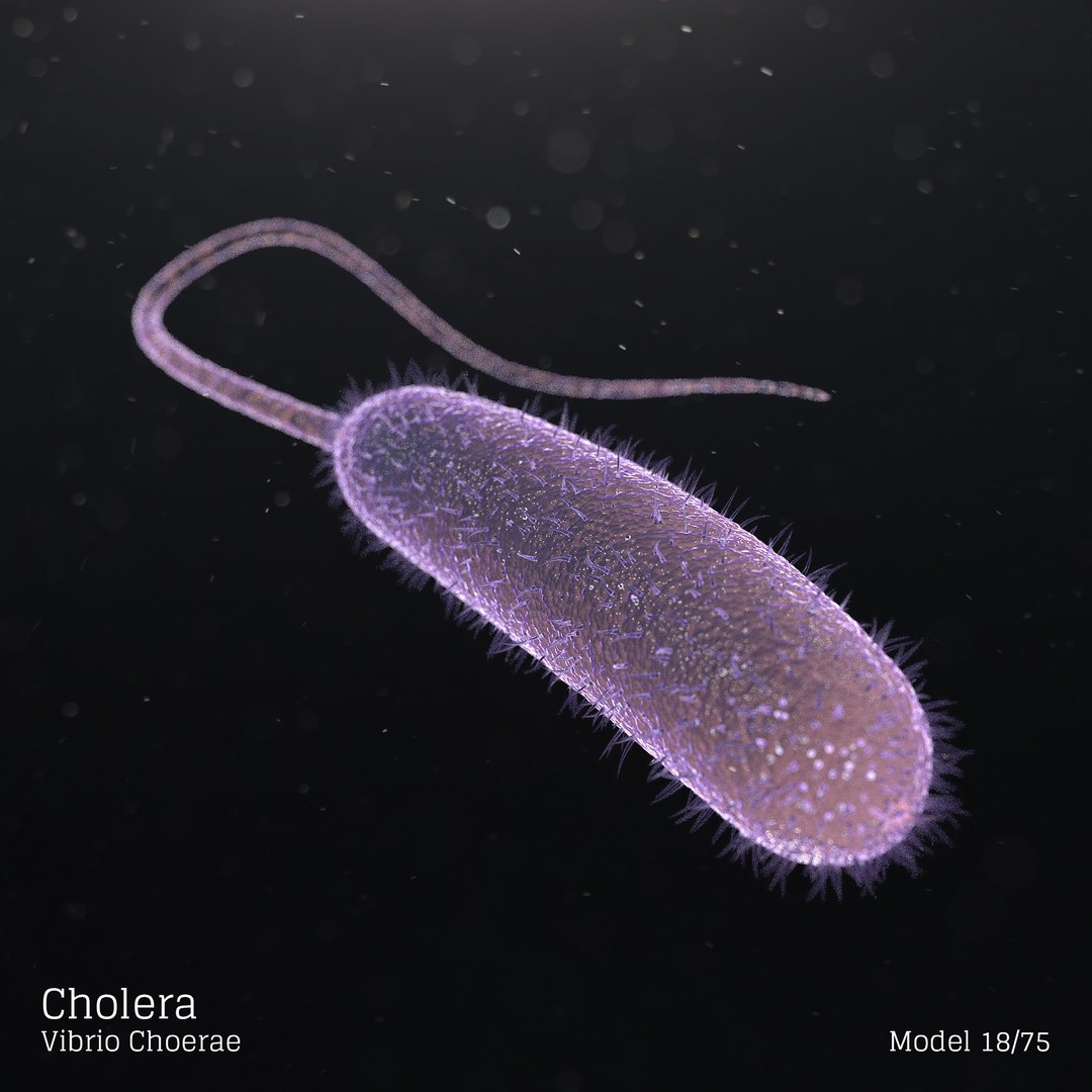 3D model microbes bacteria cells - TurboSquid 1626153