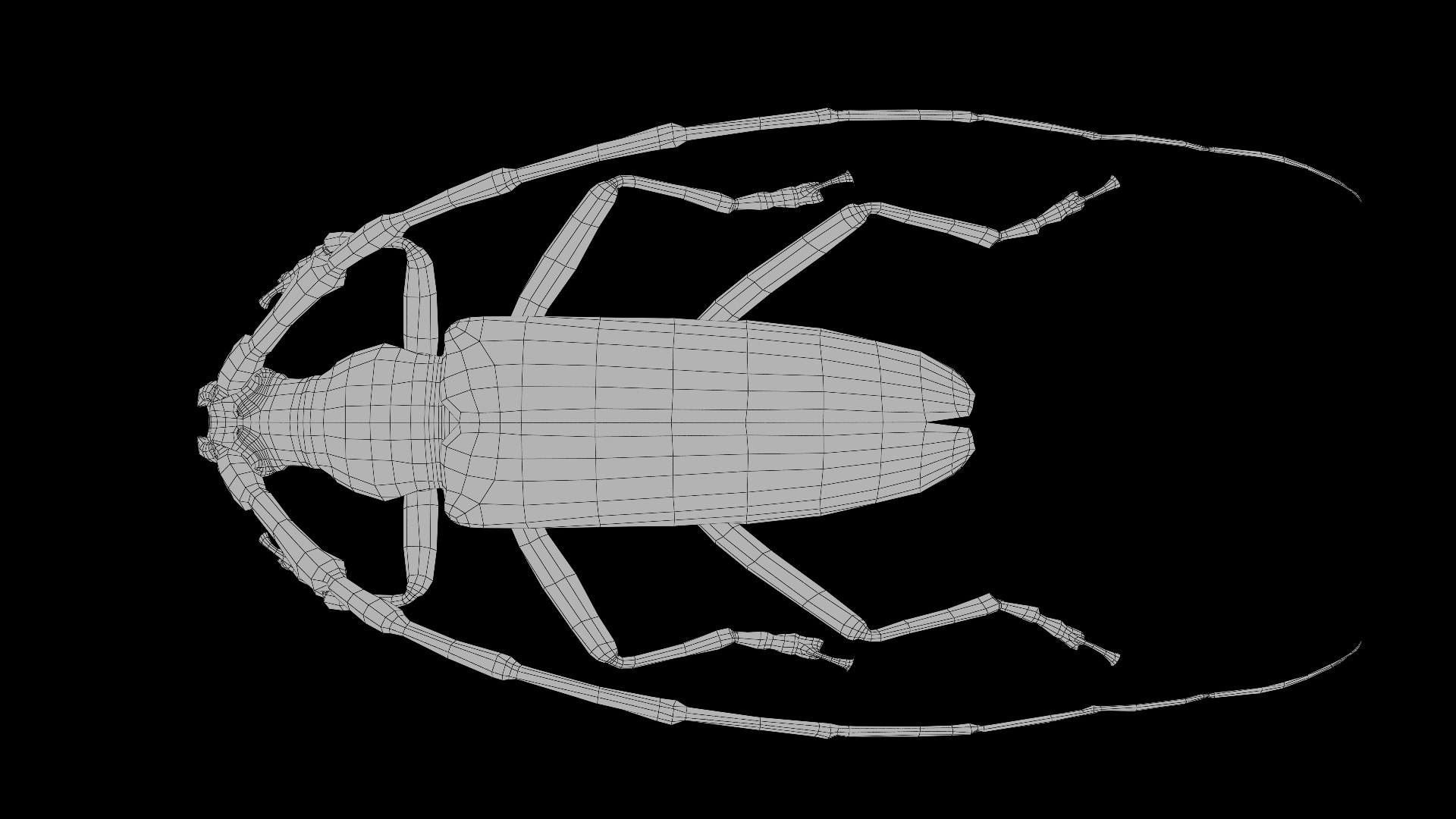 Longhorned Beetle 3D Model - TurboSquid 2407505