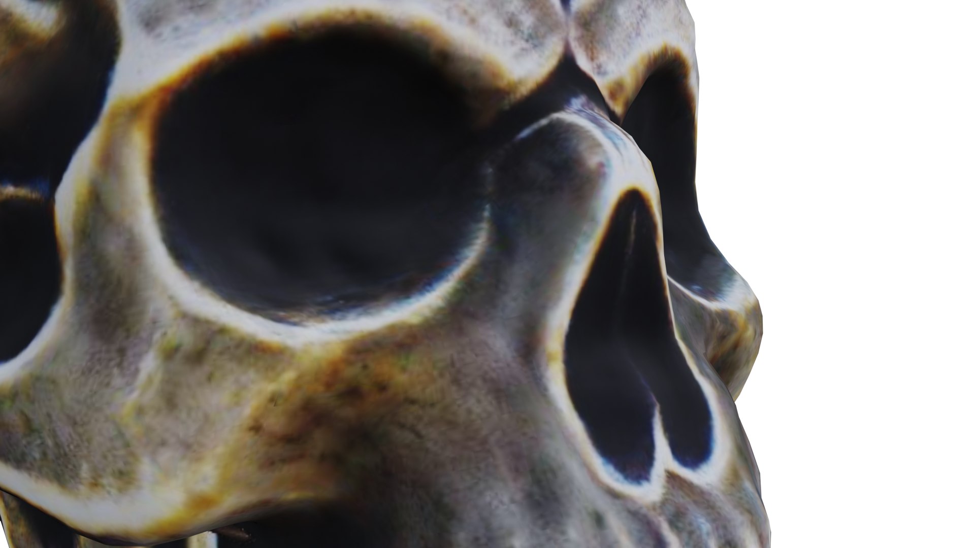 Ritual Skull Middle Poly 3D Model 3D - TurboSquid 2201054