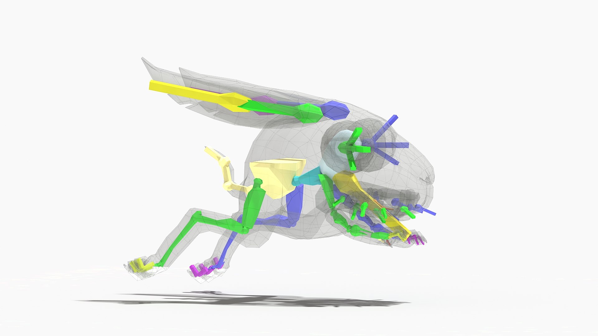 3d model of rabbit character rig