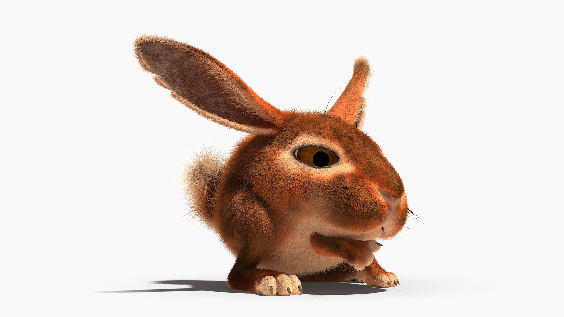 3d Model Of Rabbit Character Rig