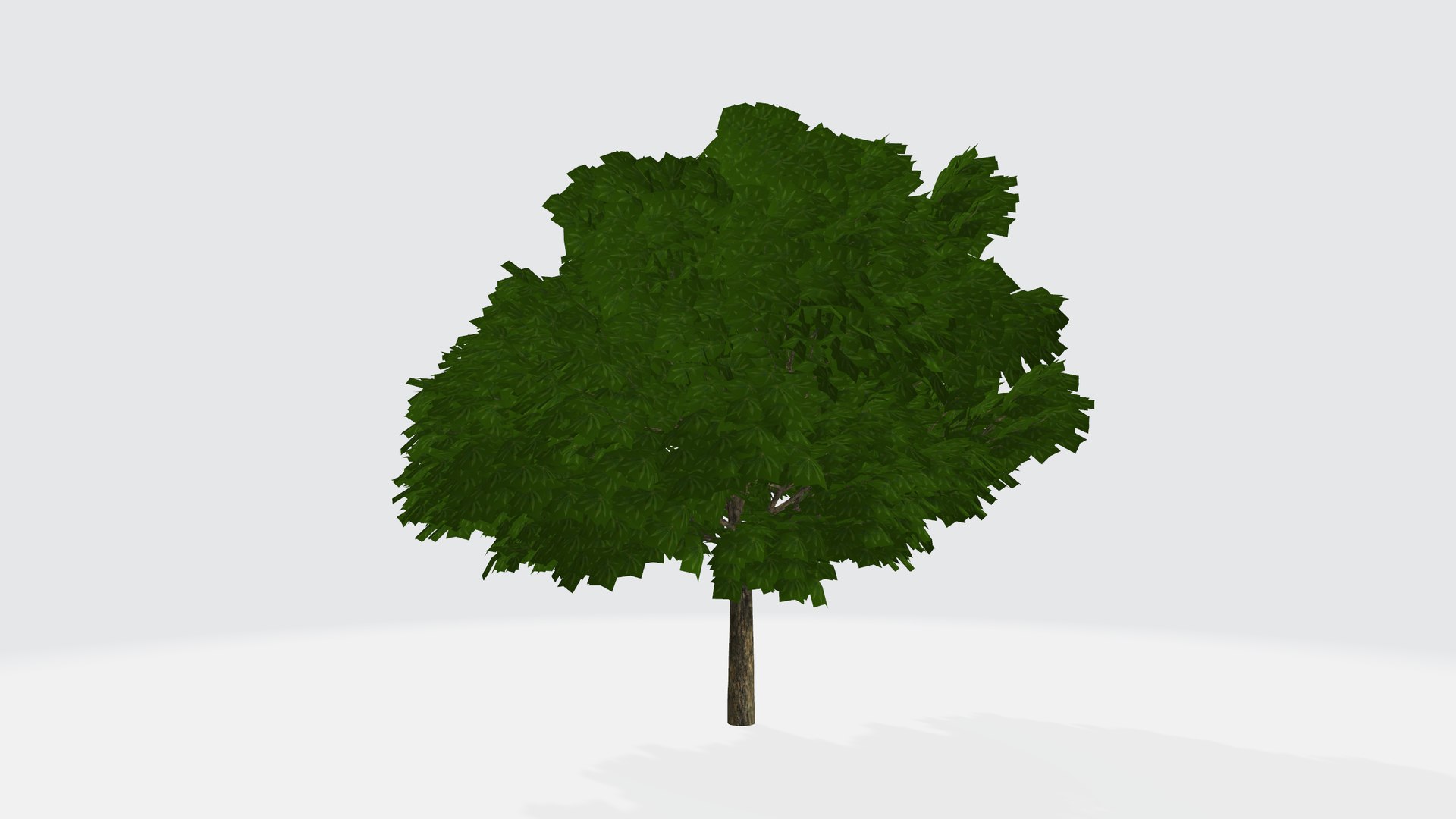 Medium-sized Evergreen Tree 3D Model - TurboSquid 1956118