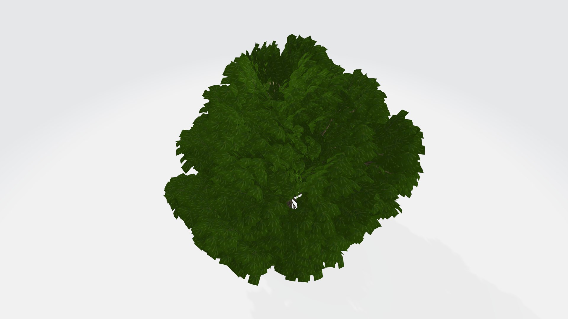 Medium-sized Evergreen Tree 3D Model - TurboSquid 1956118