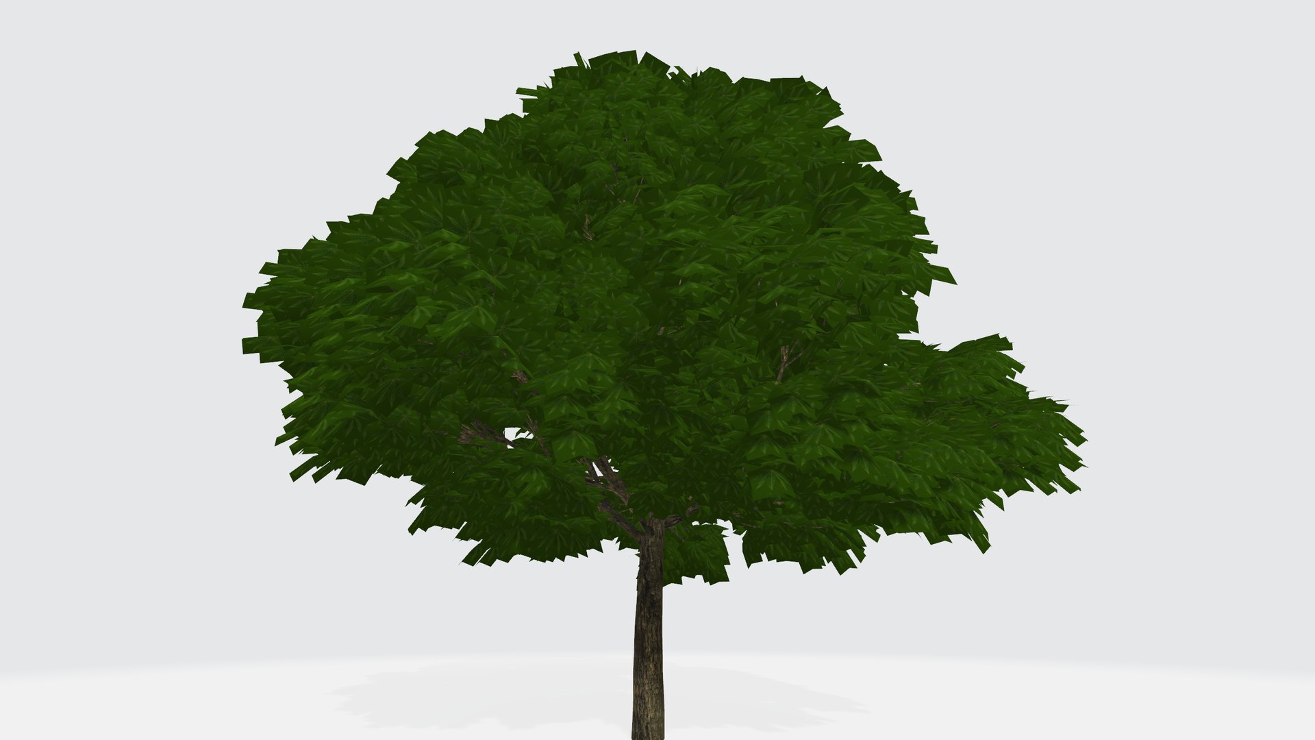 Medium-sized Evergreen Tree 3D Model - TurboSquid 1956118