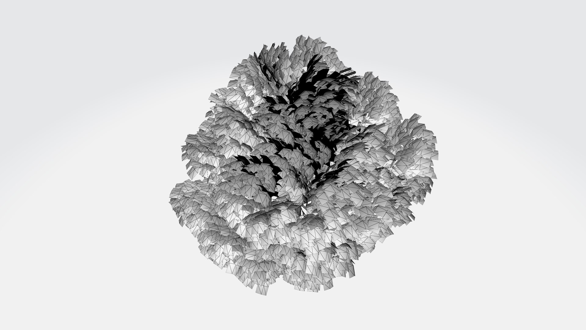 Medium-sized Evergreen Tree 3D Model - TurboSquid 1956118