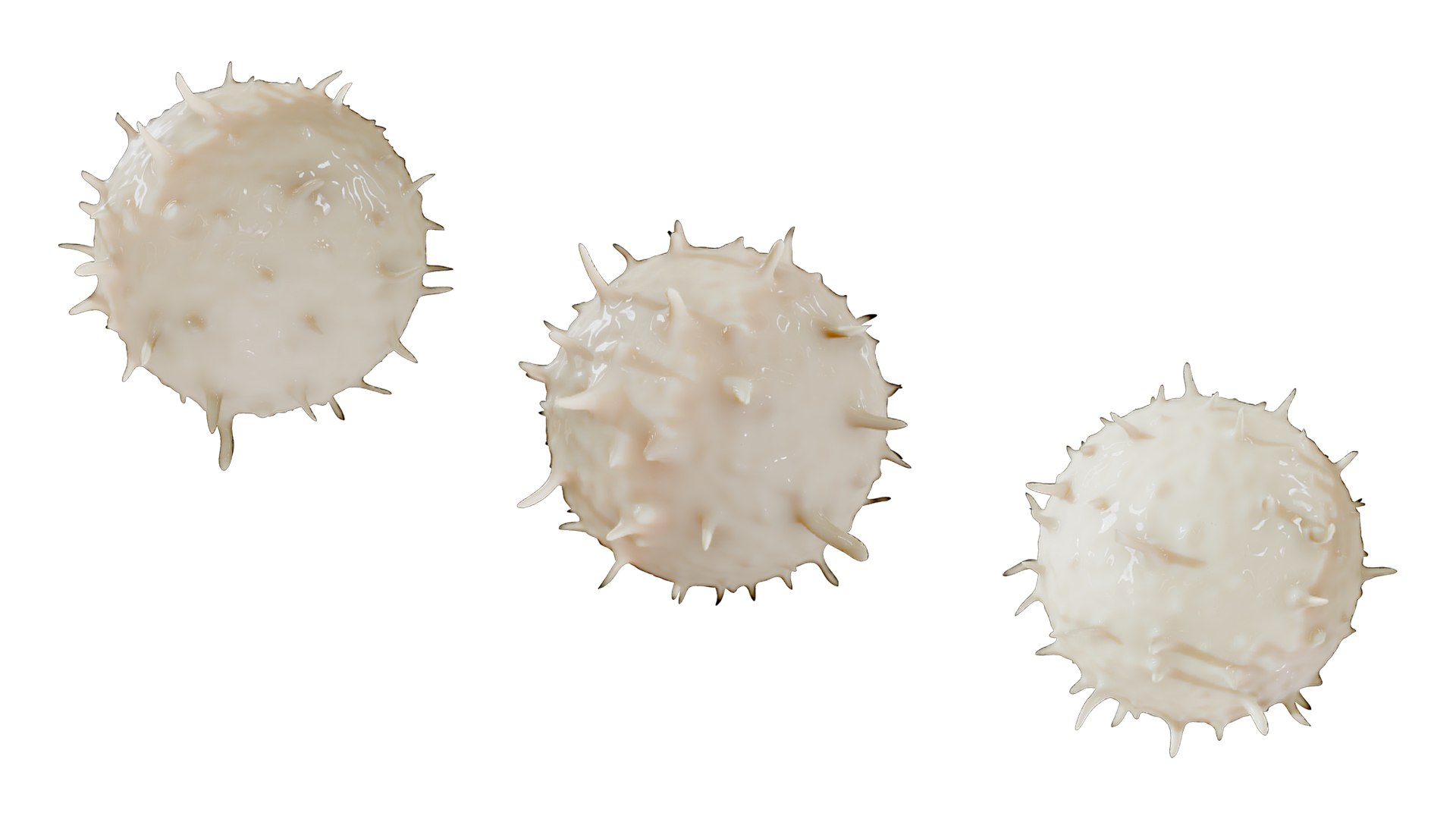 Lymphocyte White Blood Cell Model - TurboSquid 2497677