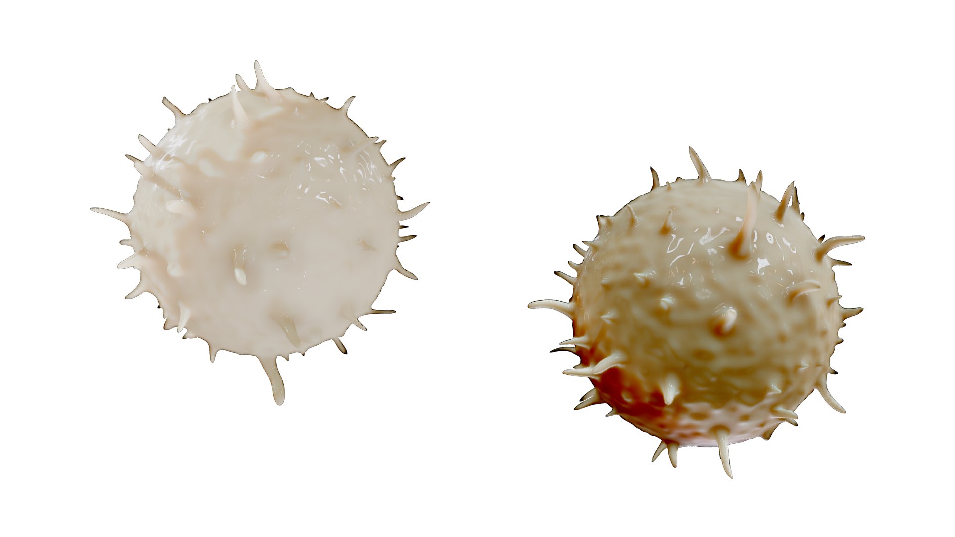 Lymphocyte White Blood Cell Model - TurboSquid 2497677