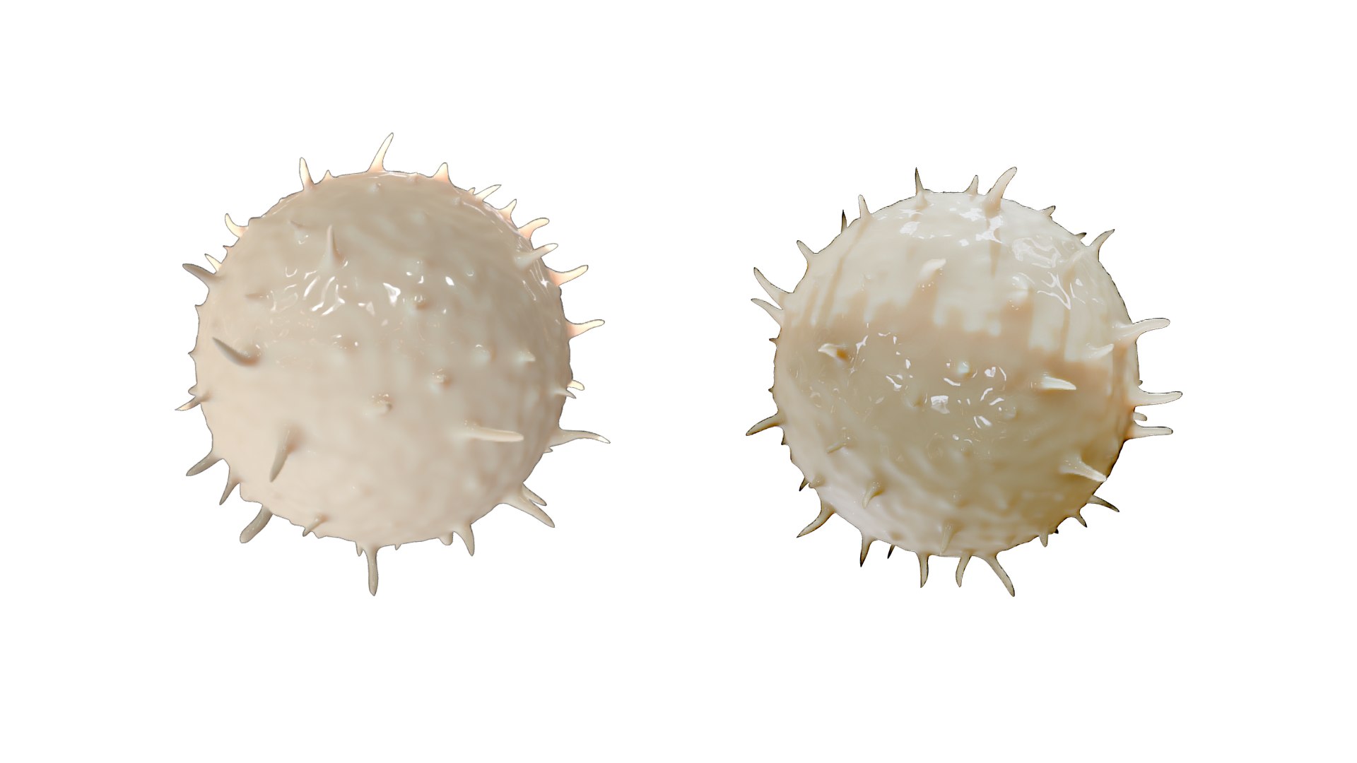 Lymphocyte White Blood Cell Model - TurboSquid 2497677