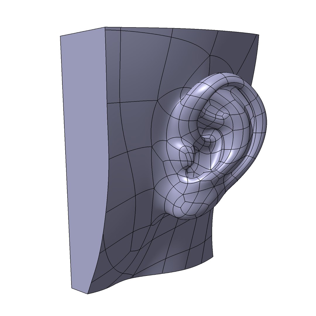 3D Left Ear Casual - TurboSquid 1252644