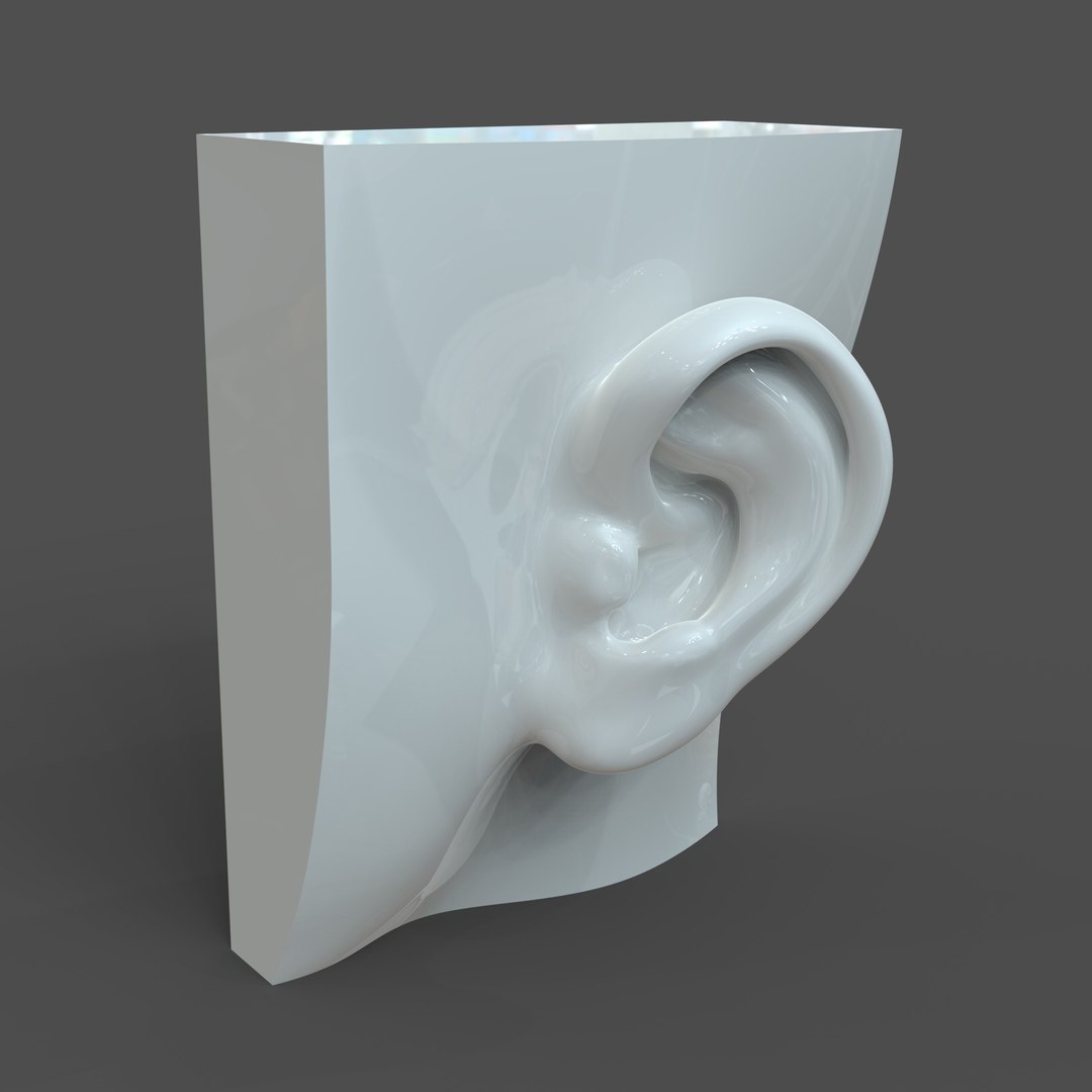 3D Left Ear Casual - TurboSquid 1252644