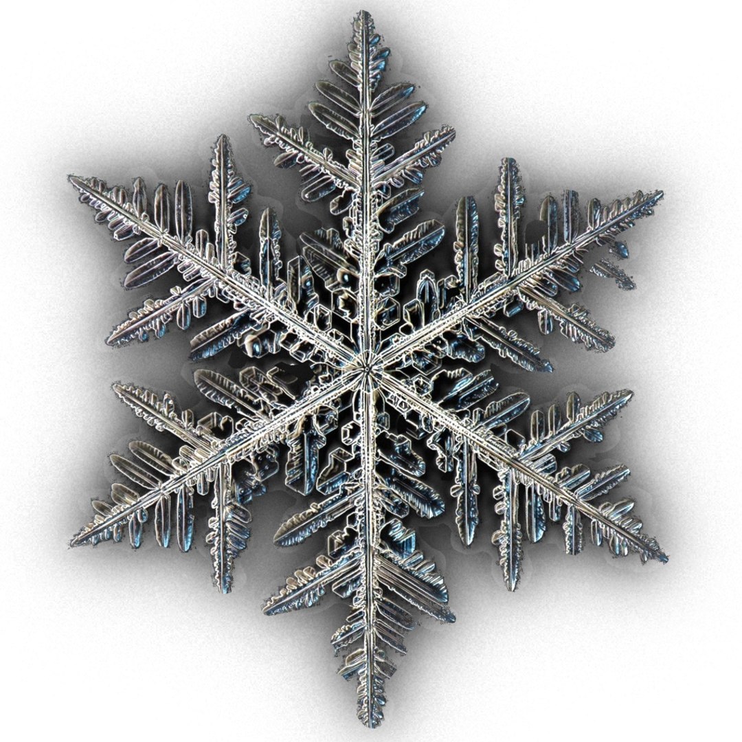 Snowflake 3D Model - TurboSquid 1335166