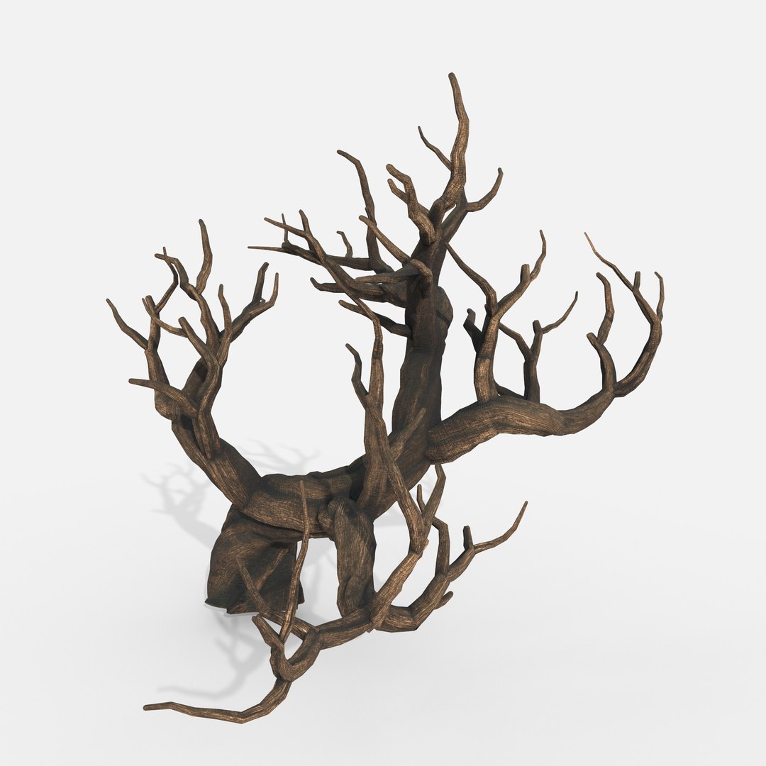 Aquarium Snag Set Model - TurboSquid 2389144