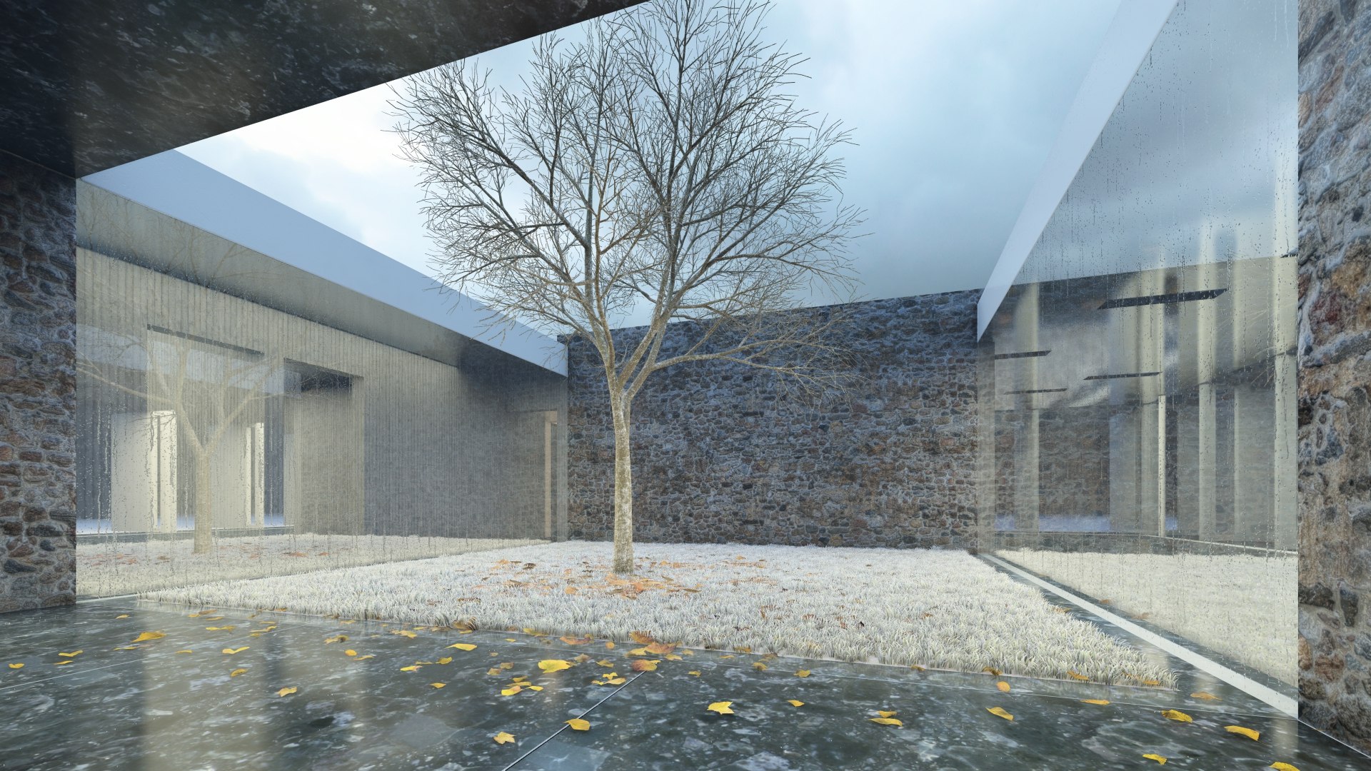 3D Model Transparent House - TurboSquid 1812284
