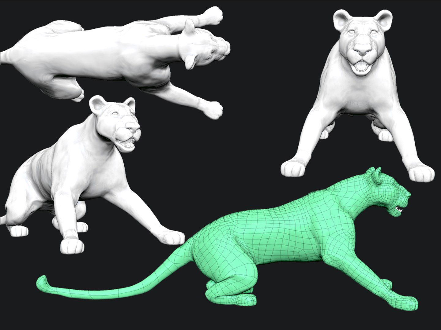 3D Lion Poses Model - TurboSquid 1316723