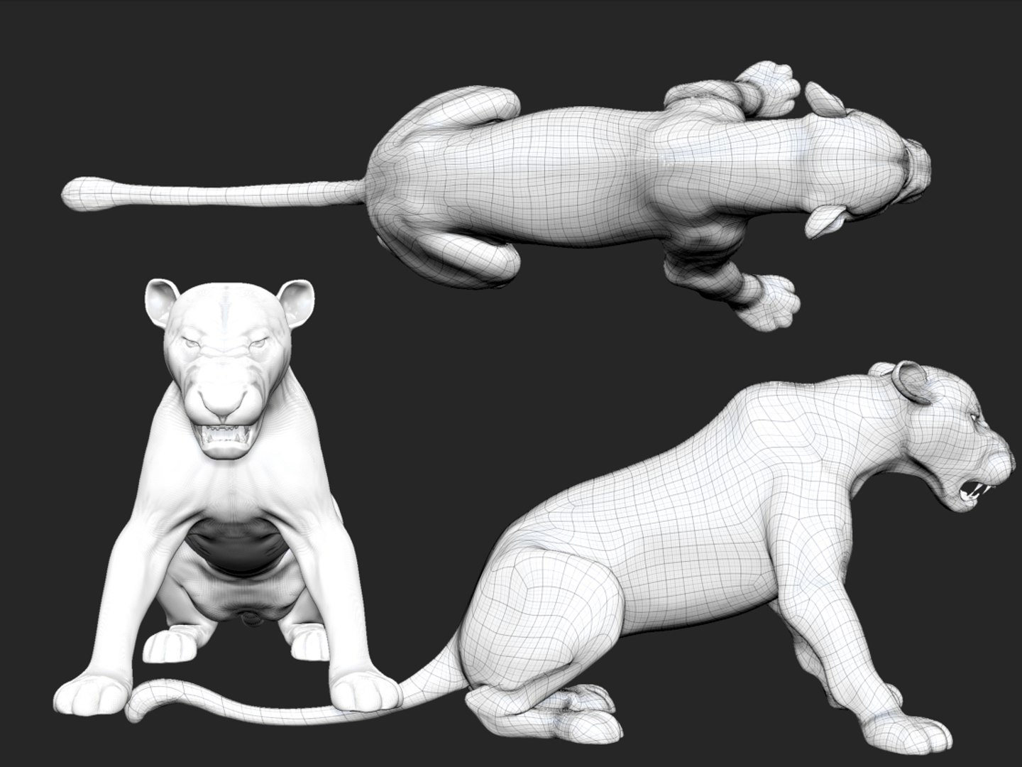 3D Lion Poses Model - TurboSquid 1316723