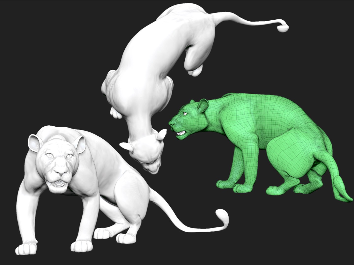 3D Lion Poses Model - TurboSquid 1316723