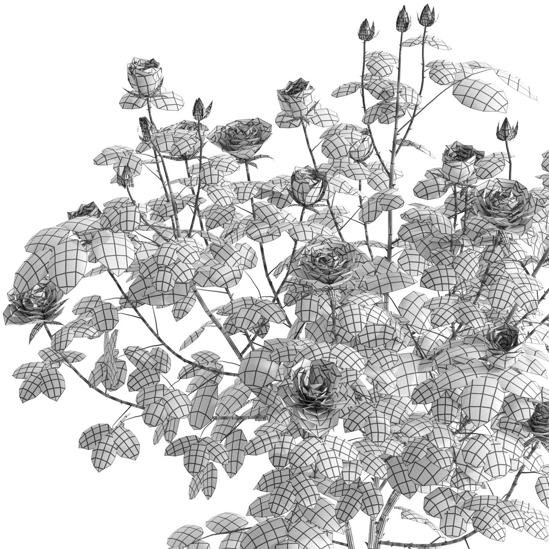 3D Model Rose Plant02 - TurboSquid 1950375