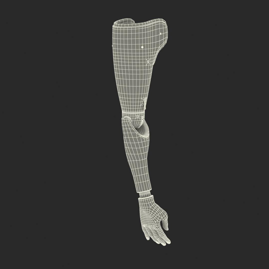 Prosthetic Arm Rigged 3d Model