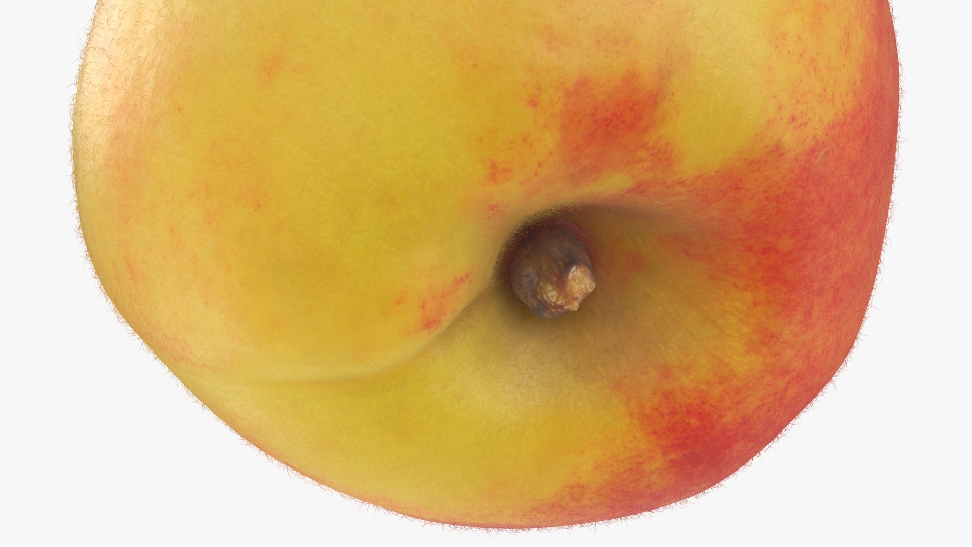 Peach 01 Color 2 3D Model - TurboSquid 2276129