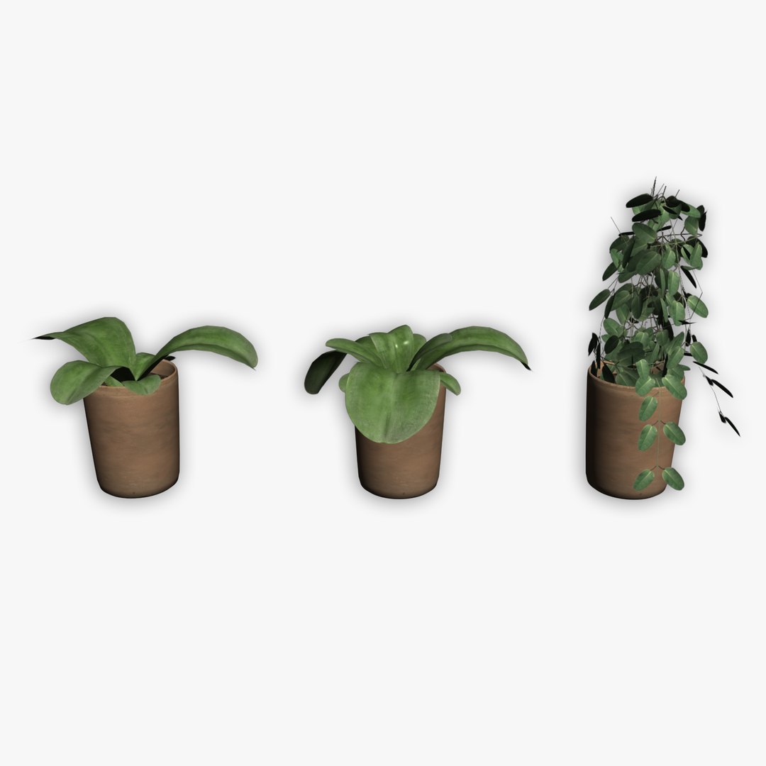 3d Plants Pots Model
