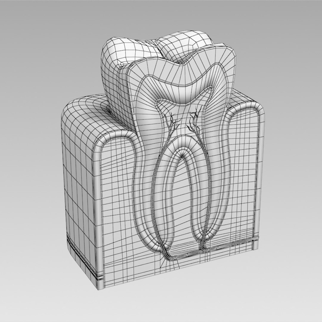3d Tooth Cross Section