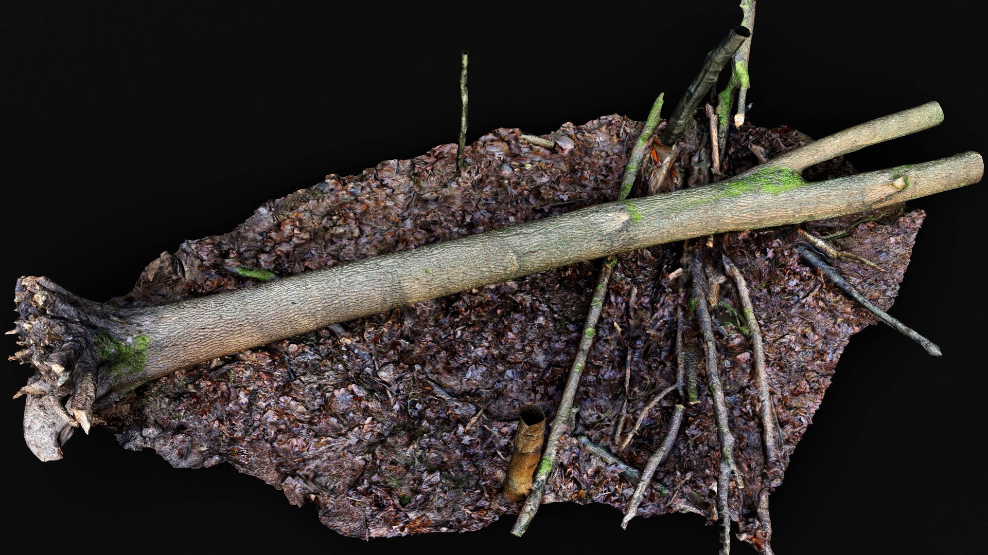 3D Forest Ground Mossy Tree Trunks Debris Pt12 Photogrammetry ...