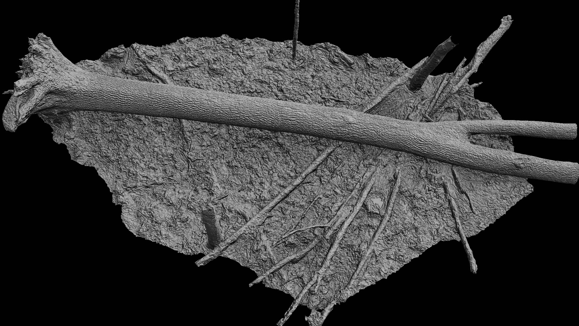 3D Forest Ground Mossy Tree Trunks Debris Pt12 Photogrammetry ...