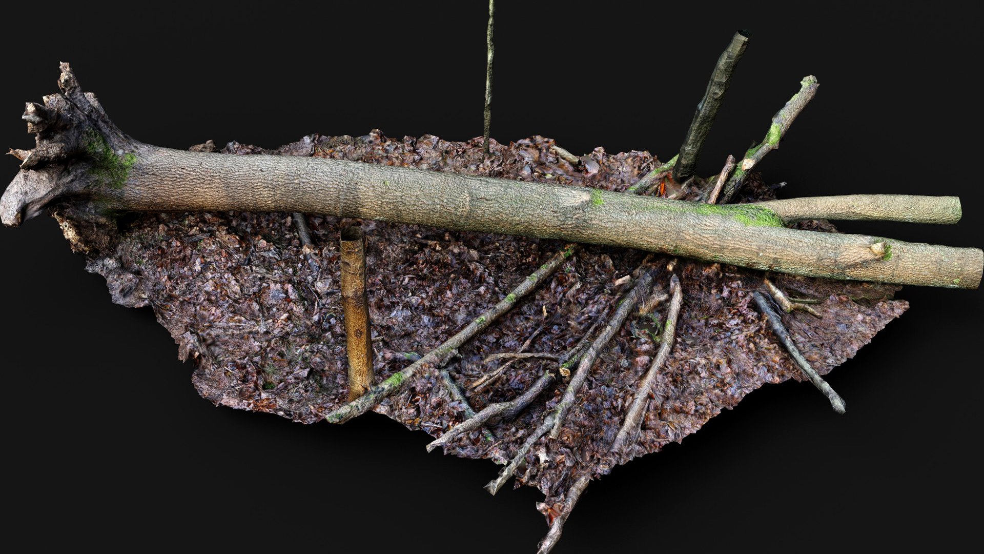 3D Forest Ground Mossy Tree Trunks Debris Pt12 Photogrammetry ...