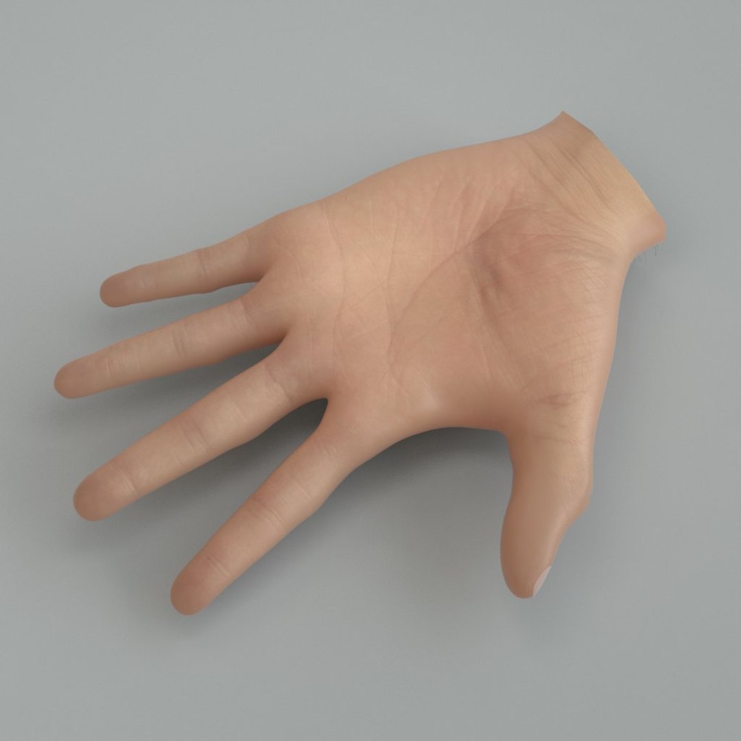 3d human hand