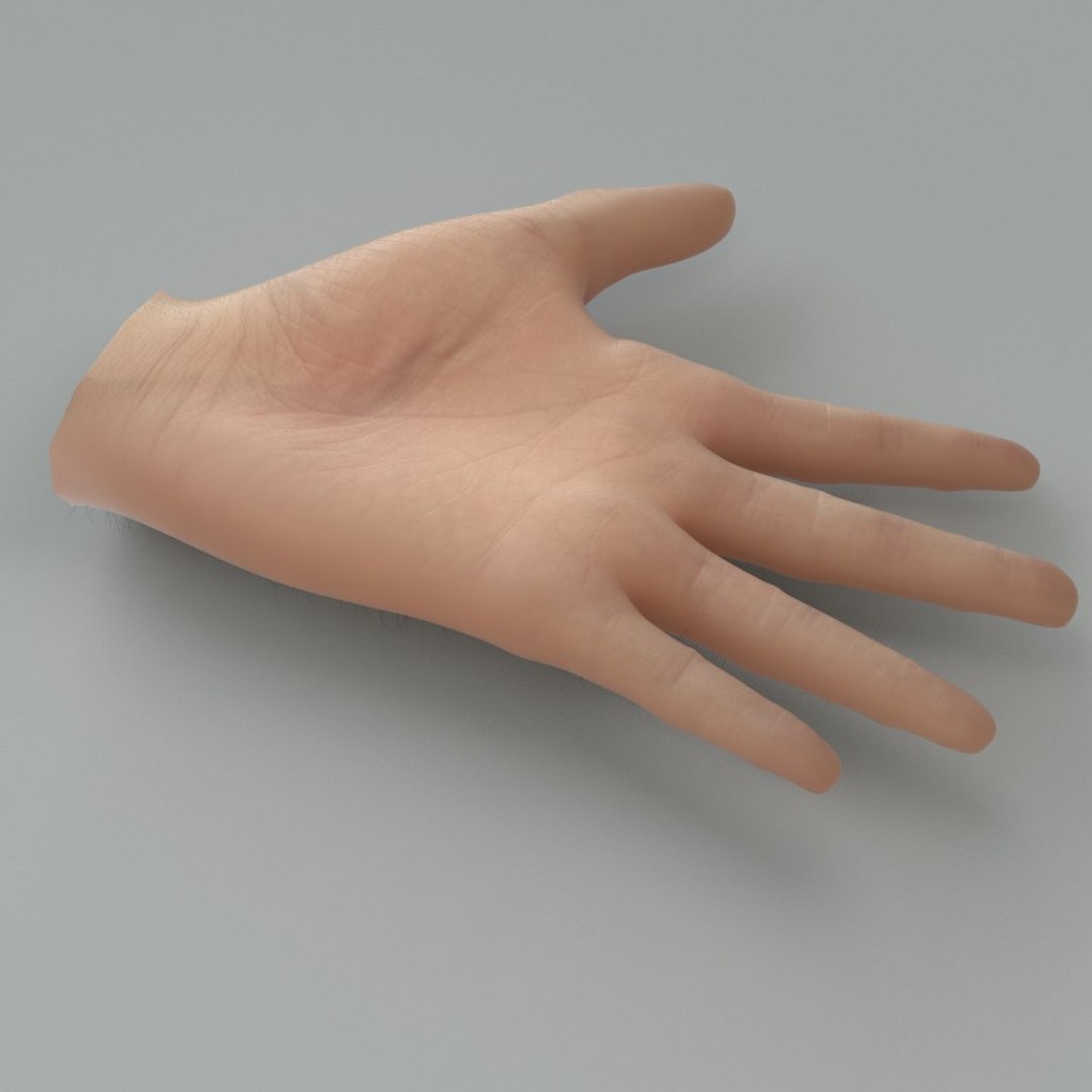 3d human hand