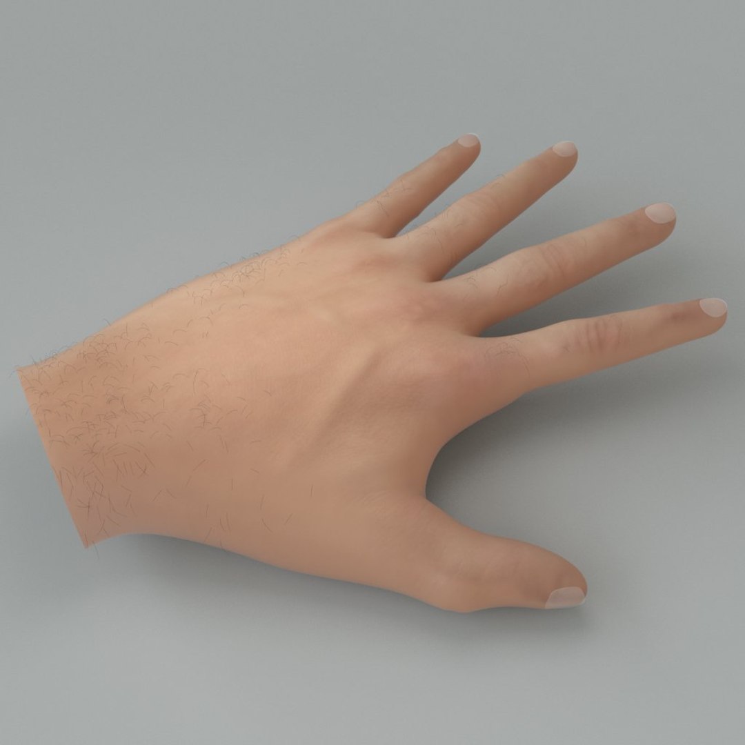 3d human hand