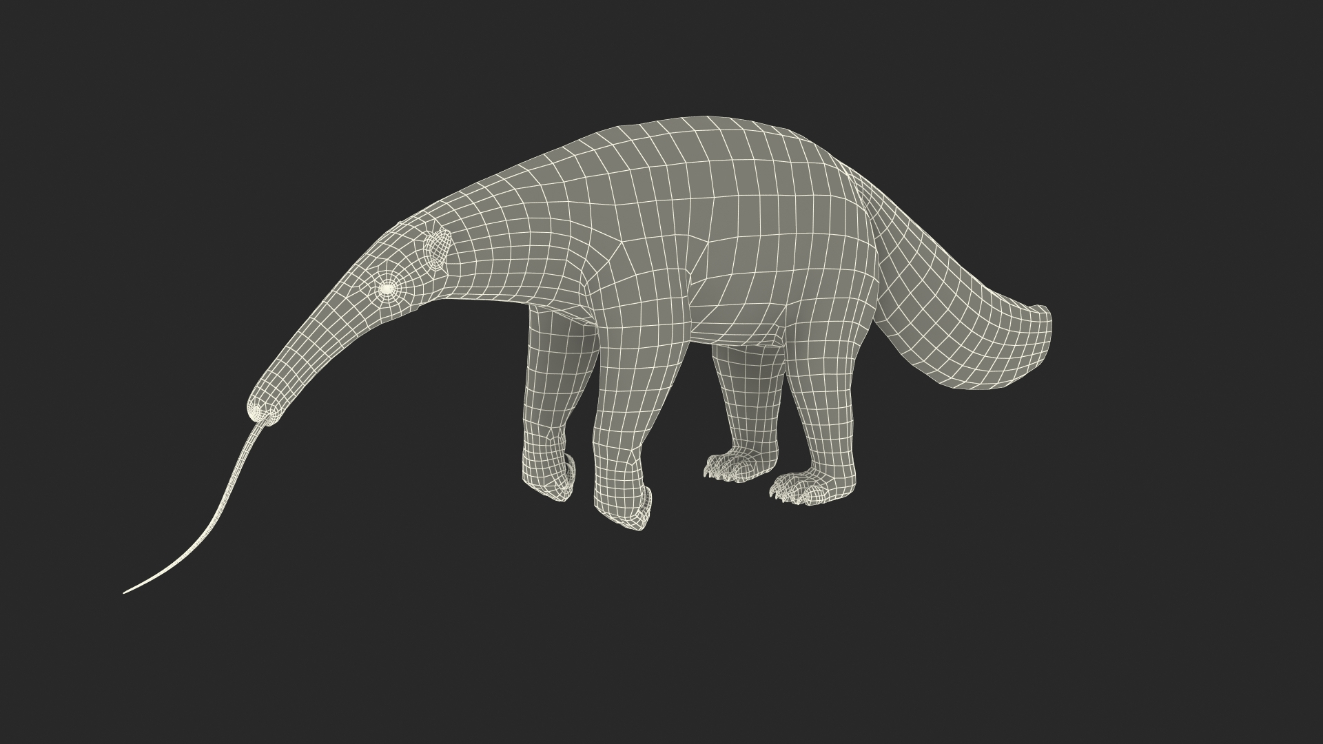 Anteater Standing Pose Fur 3D - TurboSquid 1839984