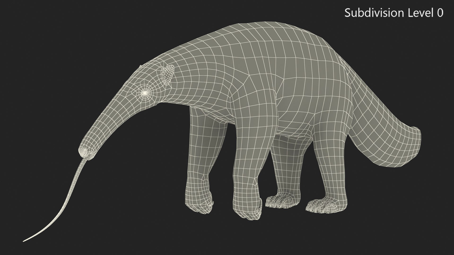 Anteater Standing Pose Fur 3D - TurboSquid 1839984
