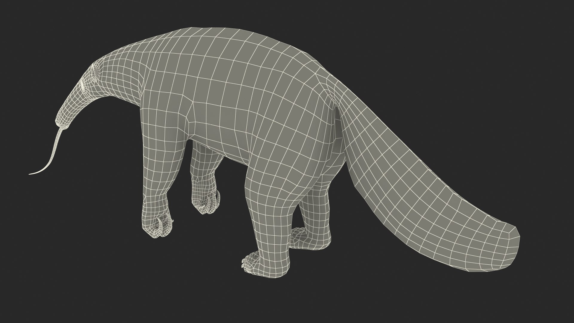 Anteater Standing Pose Fur 3D - TurboSquid 1839984