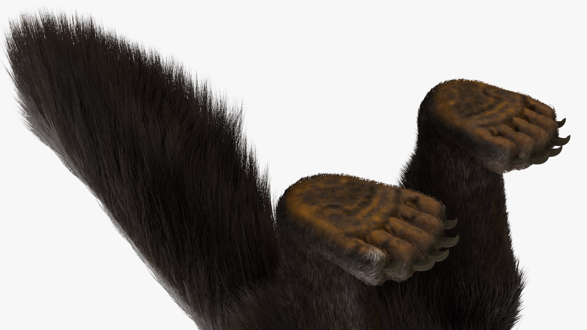 Anteater Standing Pose Fur 3D - TurboSquid 1839984