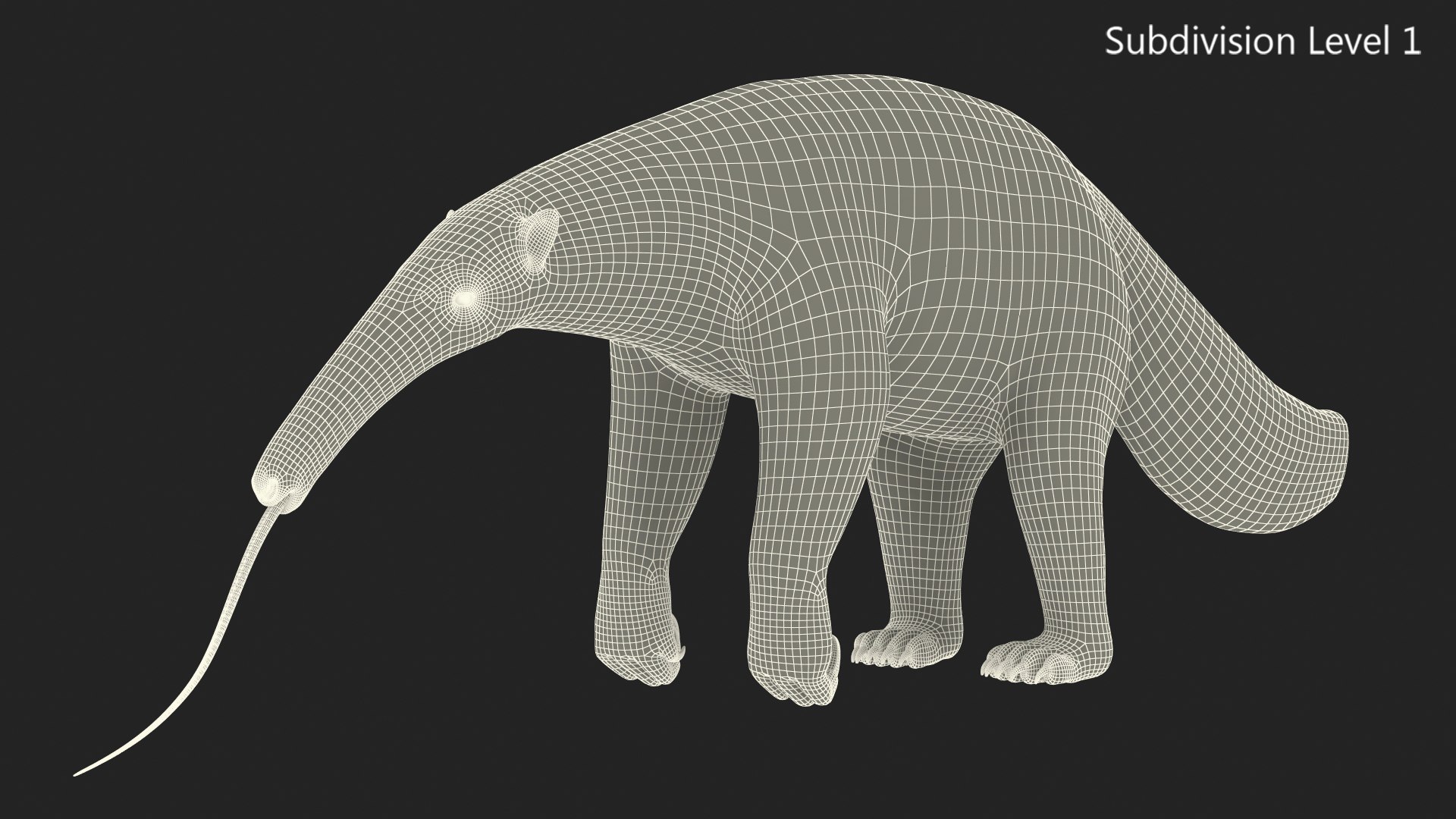 Anteater Standing Pose Fur 3D - TurboSquid 1839984