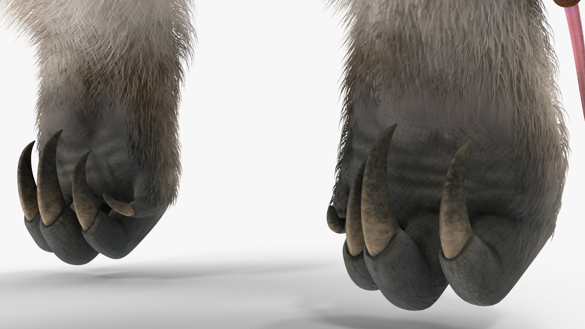 Anteater Standing Pose Fur 3D - TurboSquid 1839984