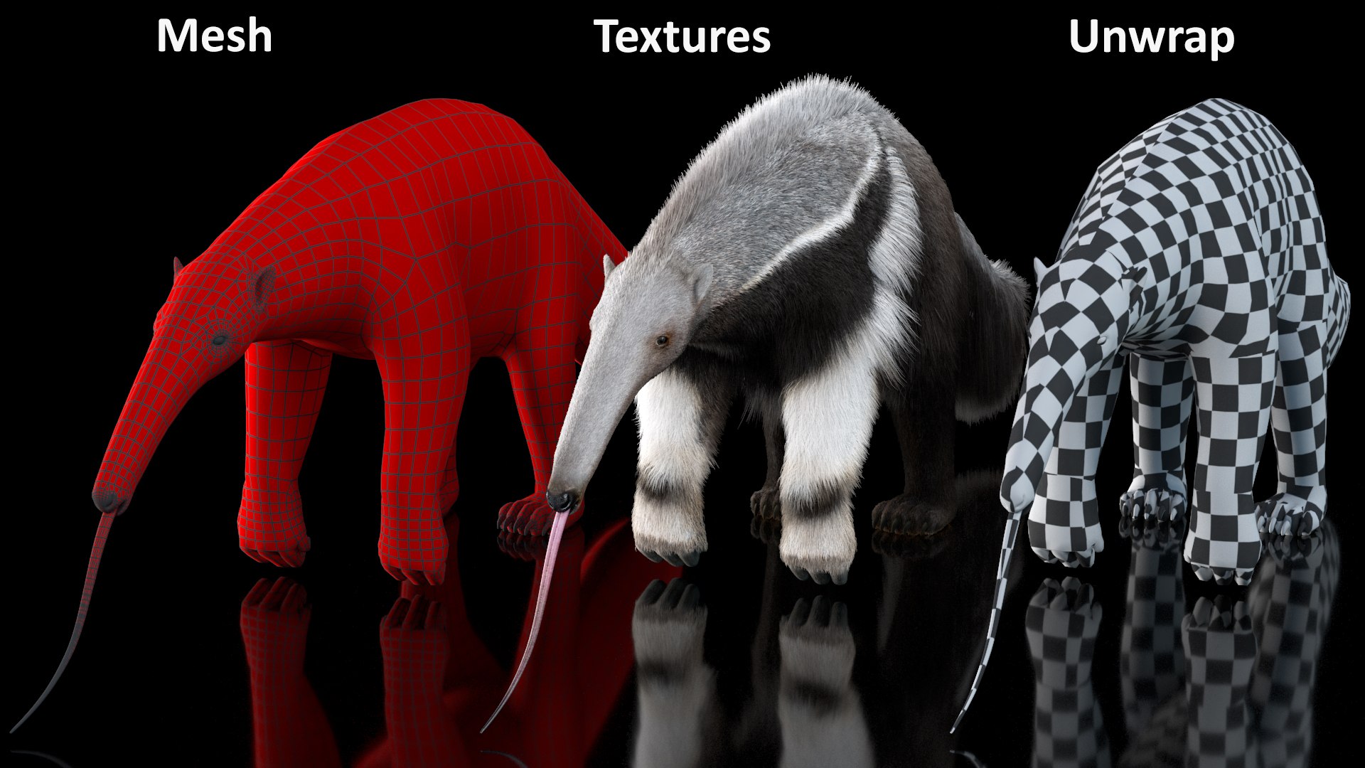 Anteater Standing Pose Fur 3D - TurboSquid 1839984